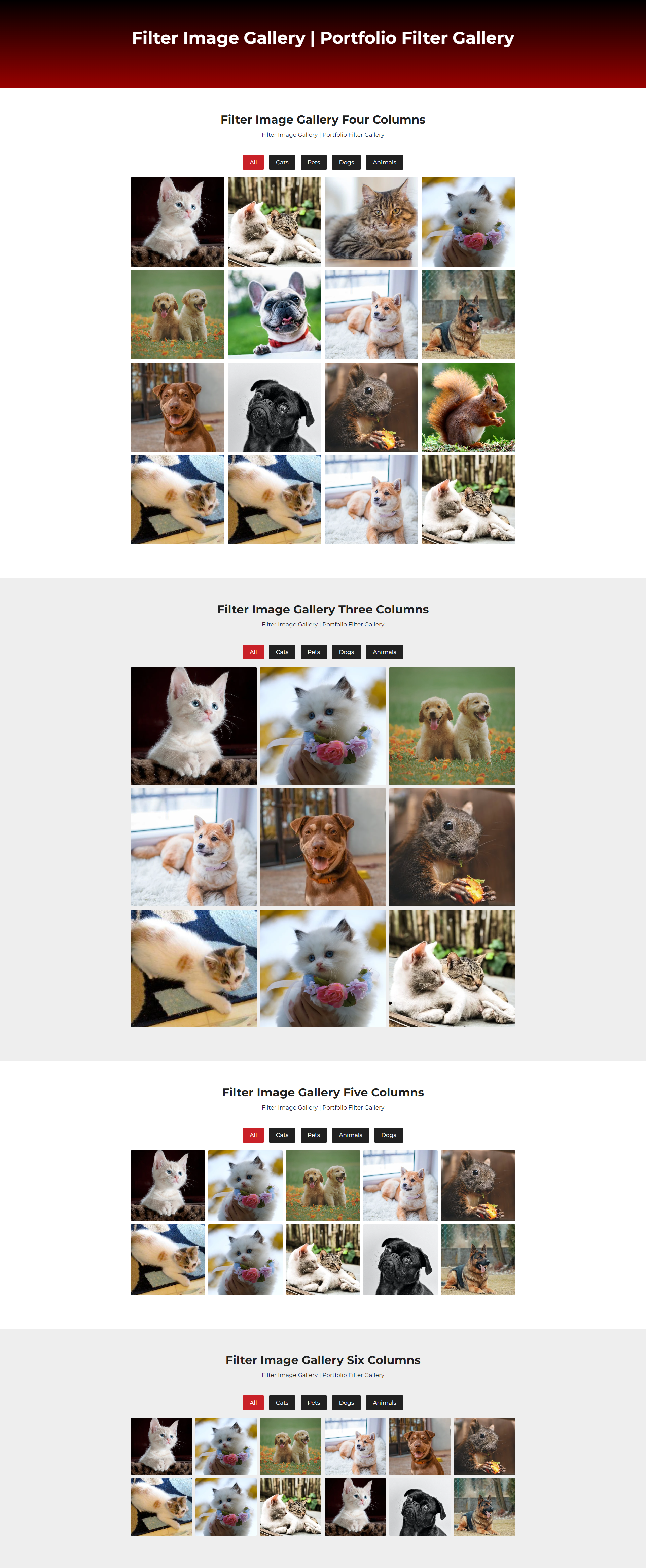 Filter Image Gallery | Portfolio Filter Gallery Module by Rathidev It ...